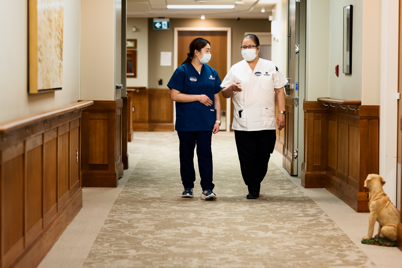 Registered Nurse (RN) Careers | Shannex
